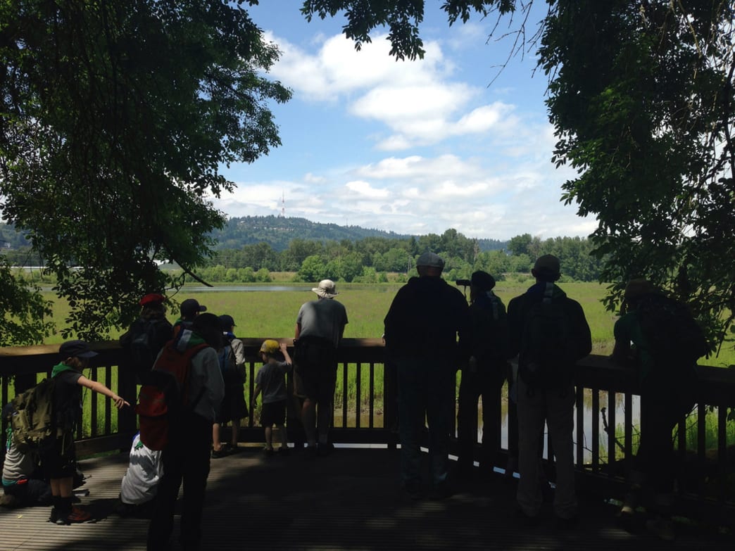 Oaks Bottom Wildlife Refuge - Hiking – Grafletics®